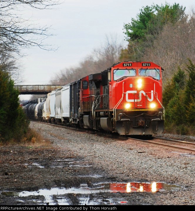 CN 5711 leads CSX's Q300 beneath the Route 206 overpass